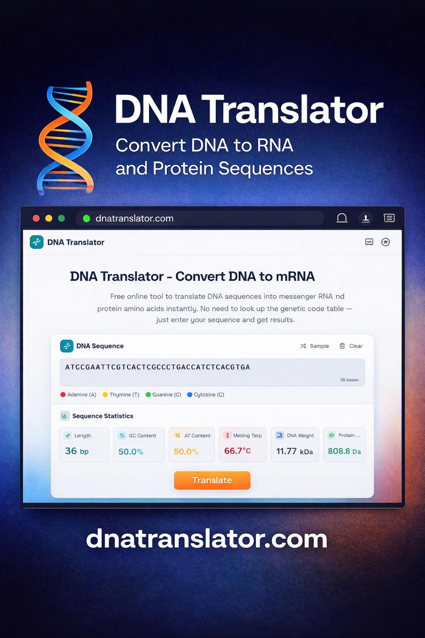 DNA Translator - Convert DNA to mRNA and Protein Sequences Online
